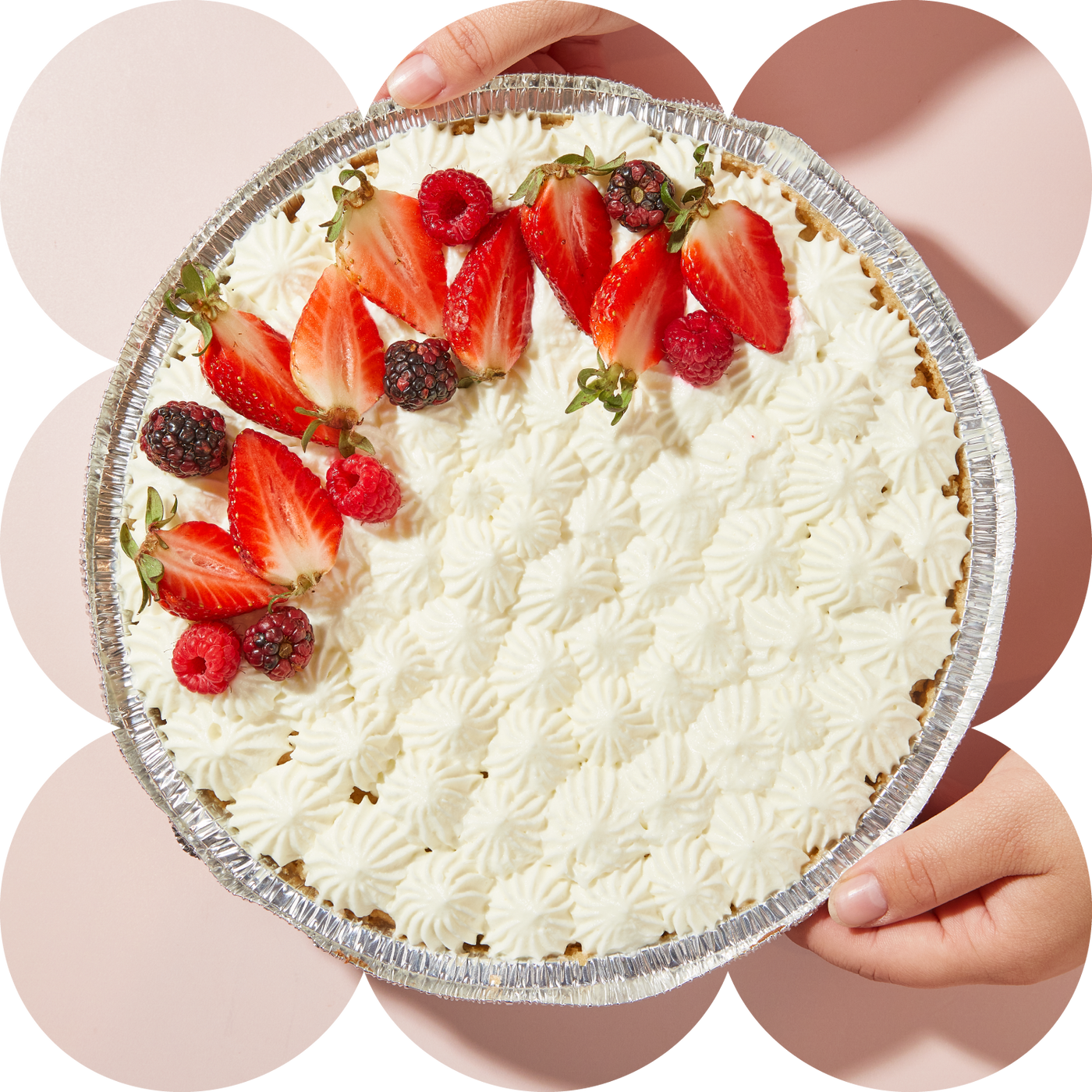 Petite | The Pastry & Co. – Petite.Pe